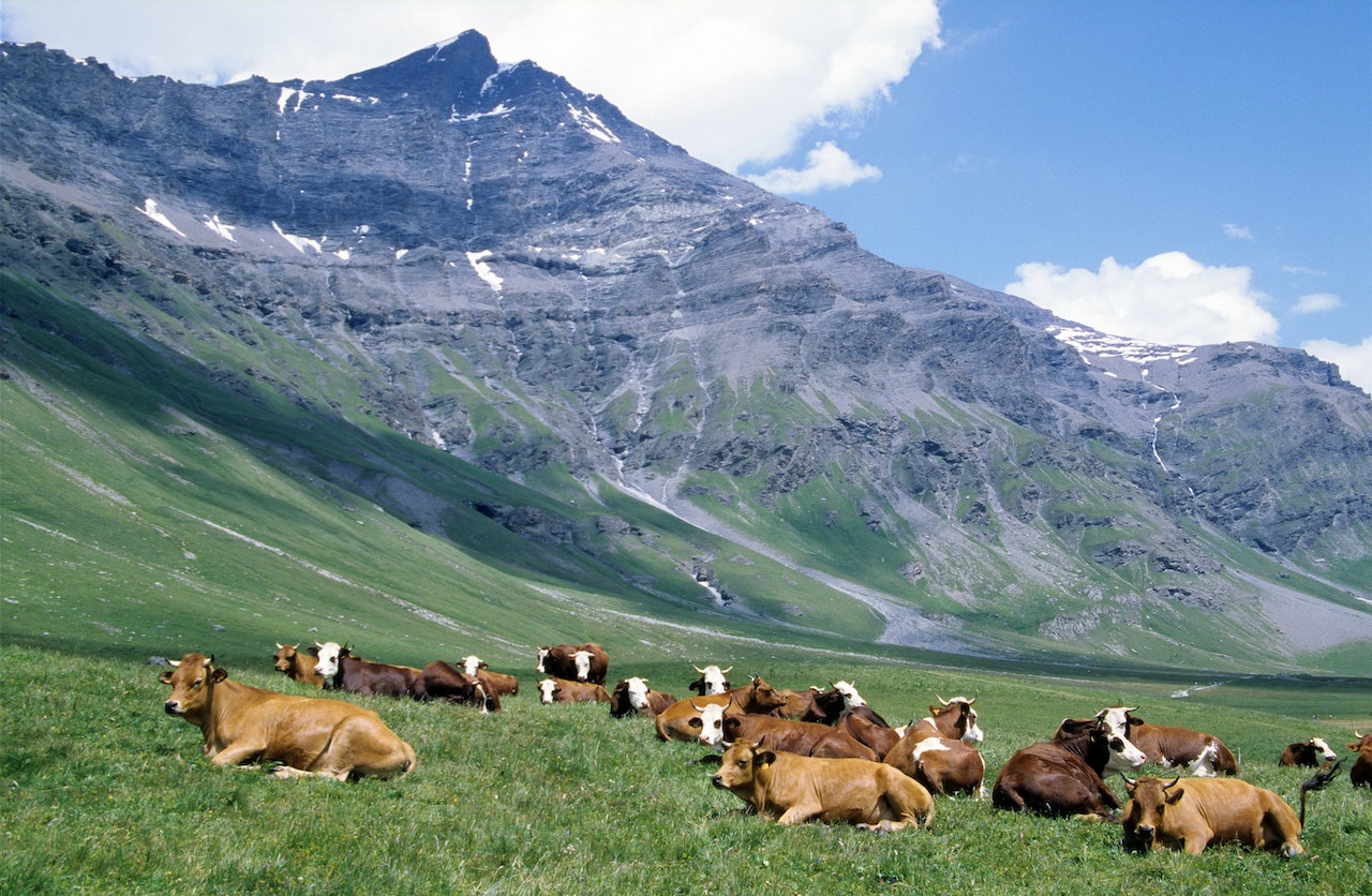 Choisir la période idéale pour faire le tour de la Vanoise
